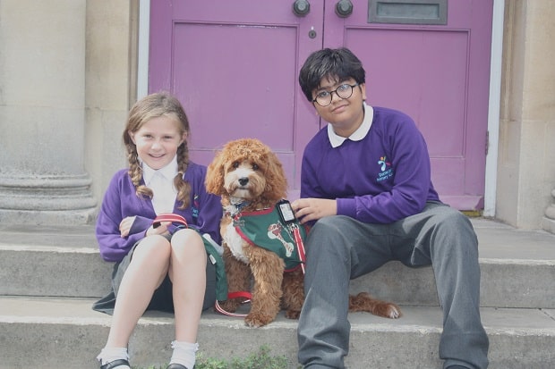Assistance dog Niko welcomes pupils at two Ramsgate schools | Bloom Labs